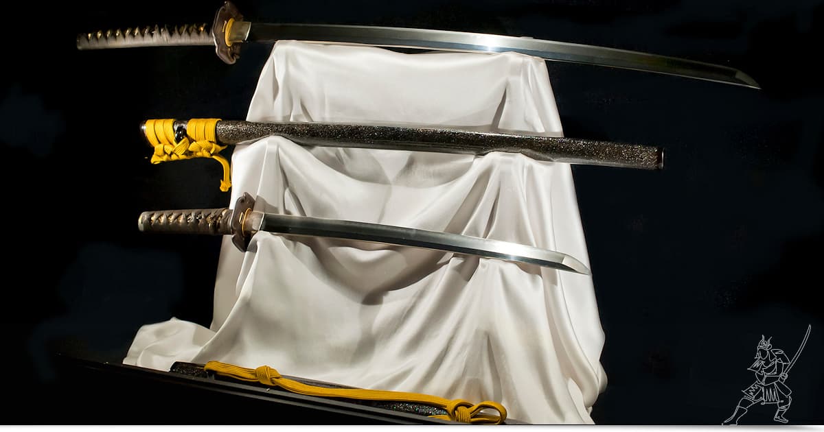 Nomenclature d'un katana | Fiche pratique #Terressens