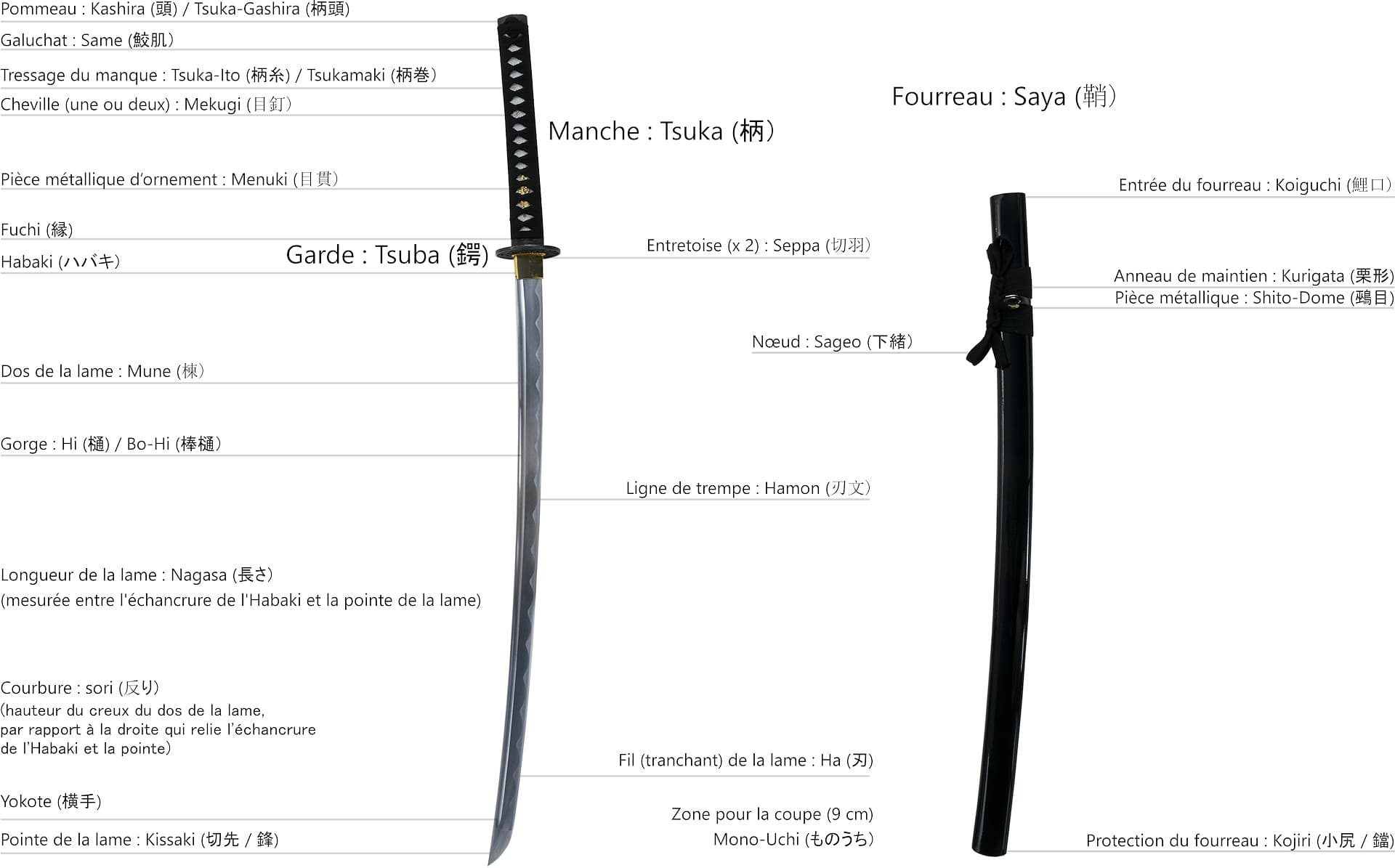 Comment entretenir la lame d'un katana ? | Fiche pratique #Terressens